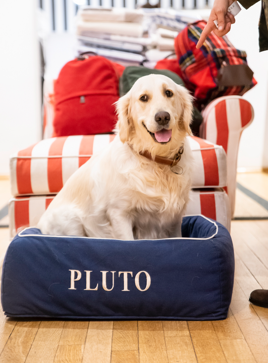 Store Locator | My Style Bags